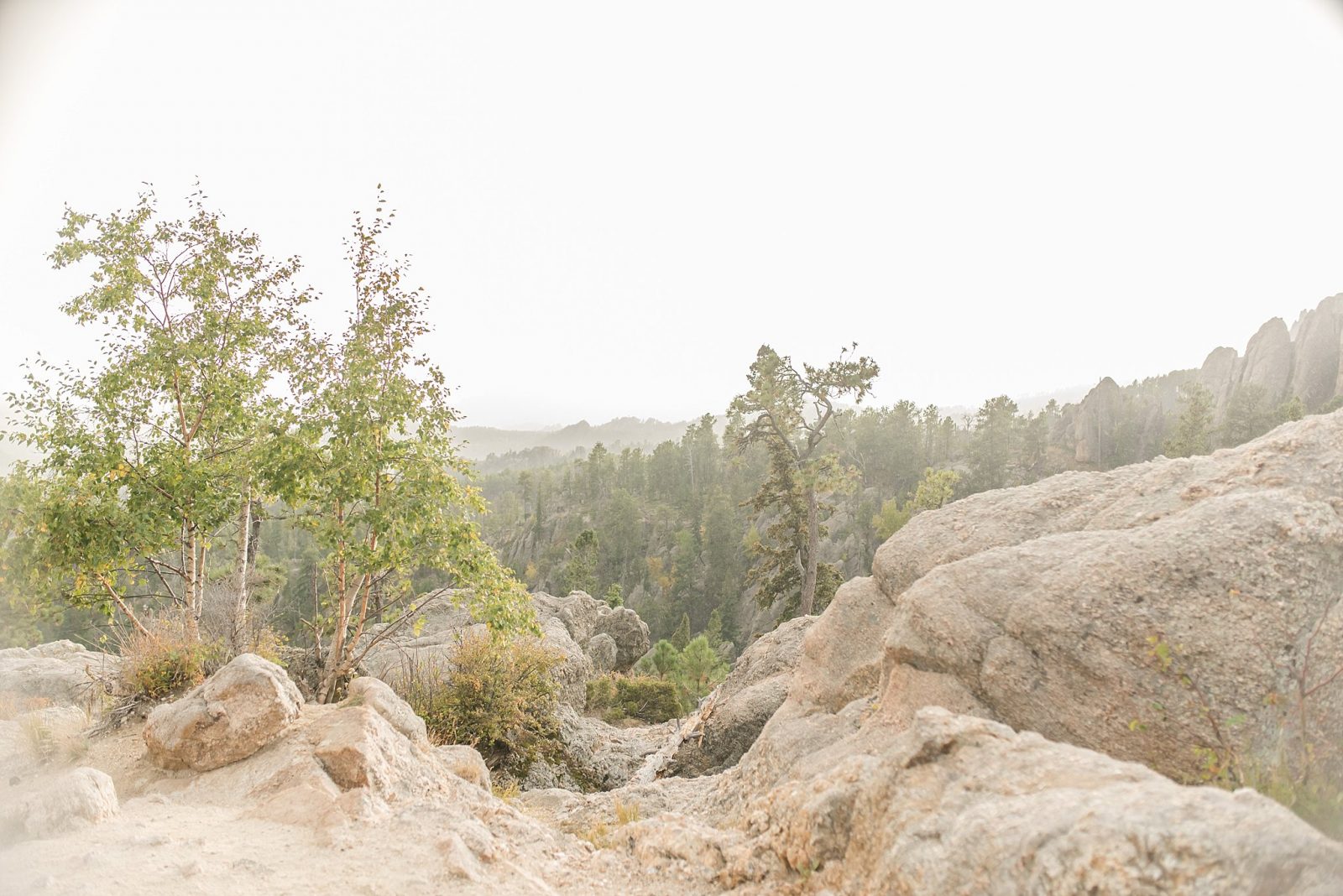 Custer State Park Engagement Photos // Black Hills Photographer ...